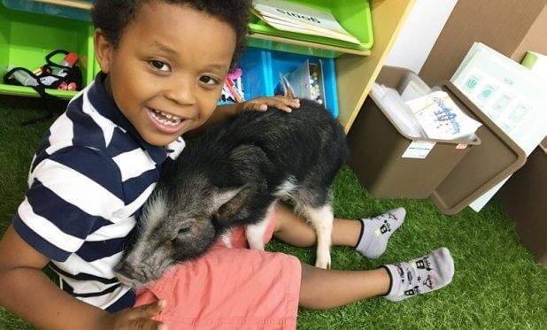 What is STEAM??～Science（科学）～ - 【Fox X GLOBAL】English School フォックスグローバル ...